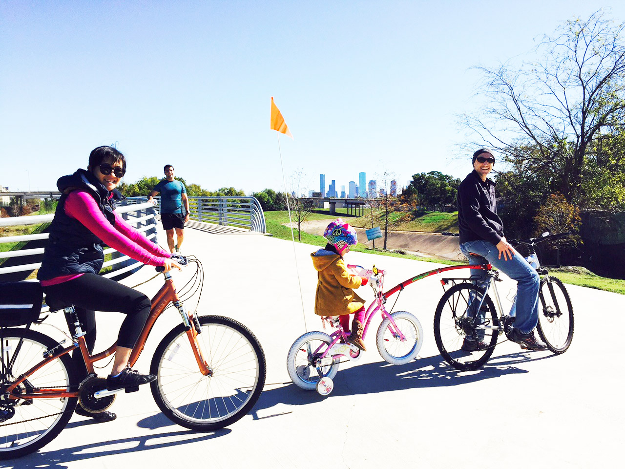 Cottage Grove Pedestrian Bridge (2015)